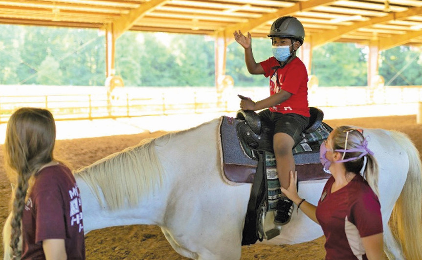 Giving Guide: Hearts & Hooves Inc.