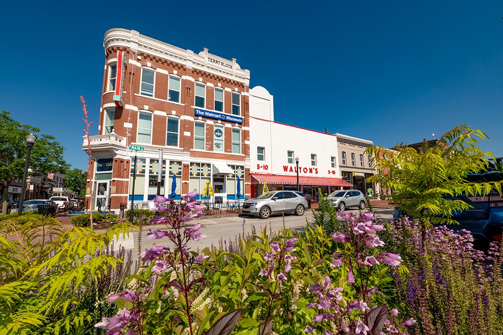 Artistic Vision at AMFA