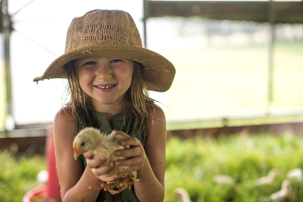 Giving Guide: Heifer International